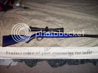 My custom Marlin model 60 | Gun and Game Forum